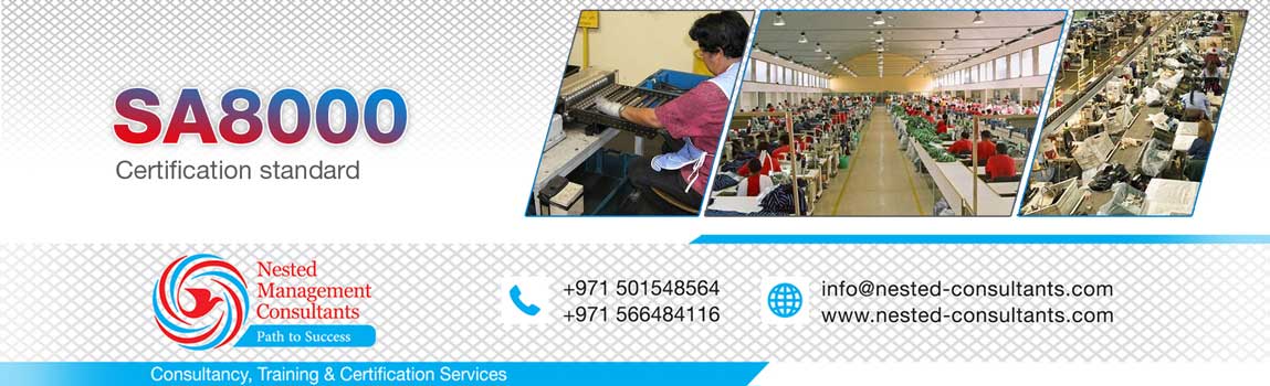 Nested Management Consultants | Training & Auditing Expert